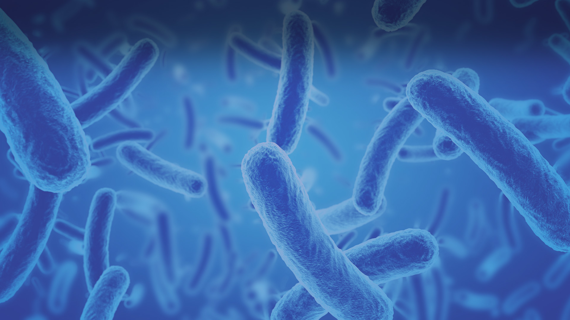 BOOM Microbiote – Best of our Microbiote